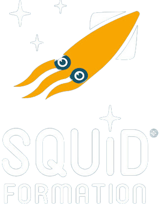 Squid Formation - Squid Formation